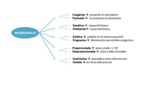 macro y microcefalia | PPTX