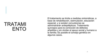 macro y microcefalia | PPTX