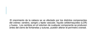 macro y microcefalia | PPTX