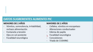 macro y microcefalia | PPTX