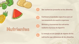 Definición y Funciones de los Macro y Micronutrientes | PDF