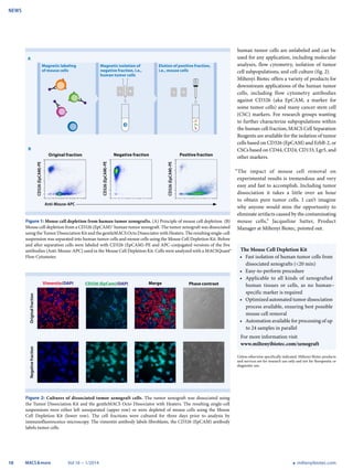 Innovation in Cell Therapy with Miltenyi Biotech 25 Years | PDF
