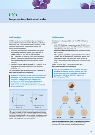 Macs Stem Cell Research | PDF