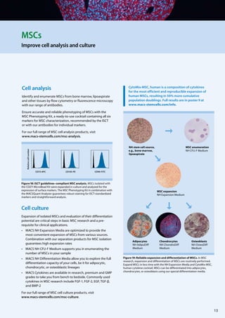 Macs Stem Cell Research | PDF