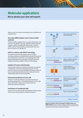 Macs Stem Cell Research | PDF