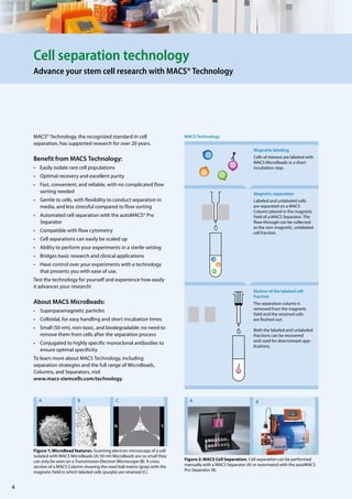 Macs Stem Cell Research | PDF