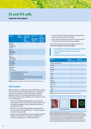 Macs Stem Cell Research | PDF