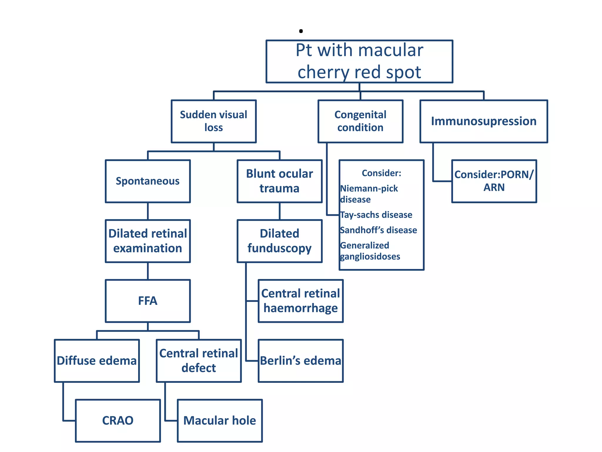 Macular cherry red spot | PPTX | Eye and Vision Conditions | Diseases ...