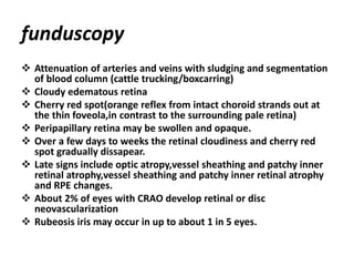 Macular cherry red spot | PPTX | Eye and Vision Conditions | Diseases ...