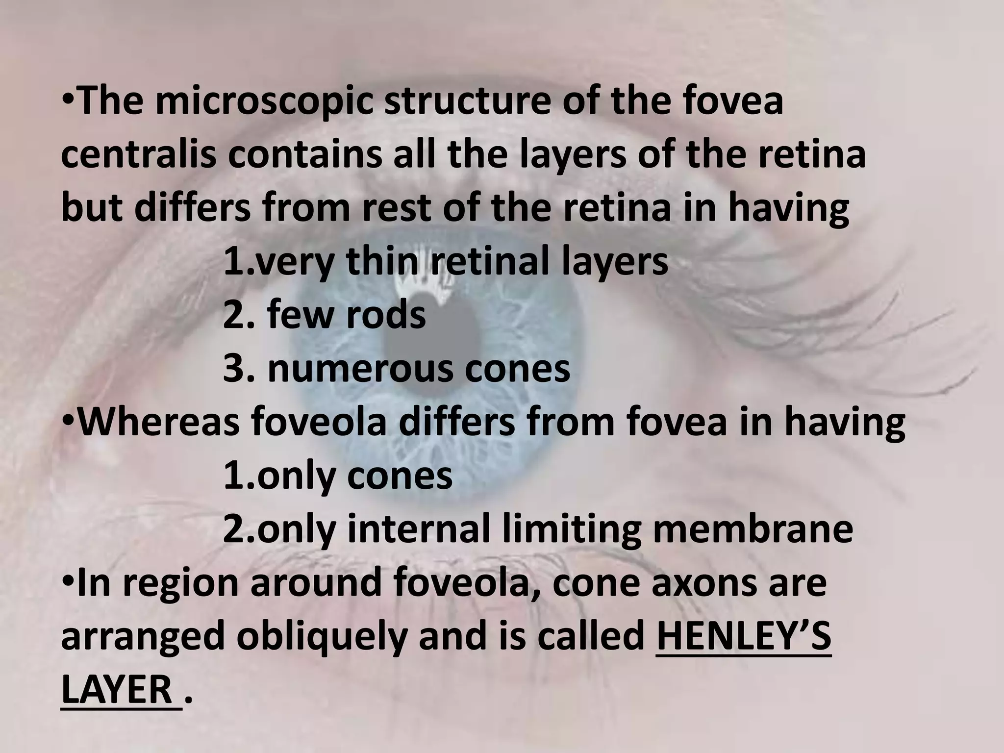MACULAR DISORDERS.pptx