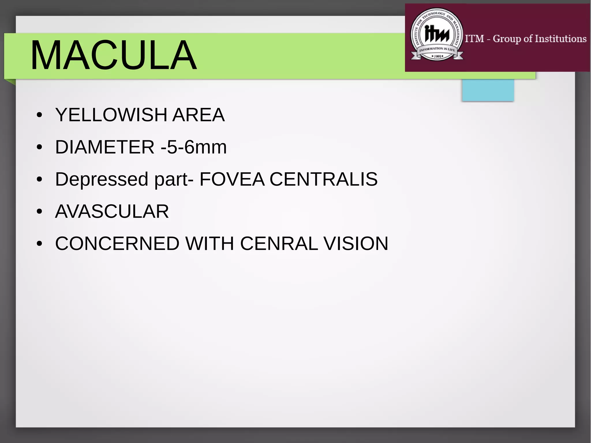 Macular function test | ODP