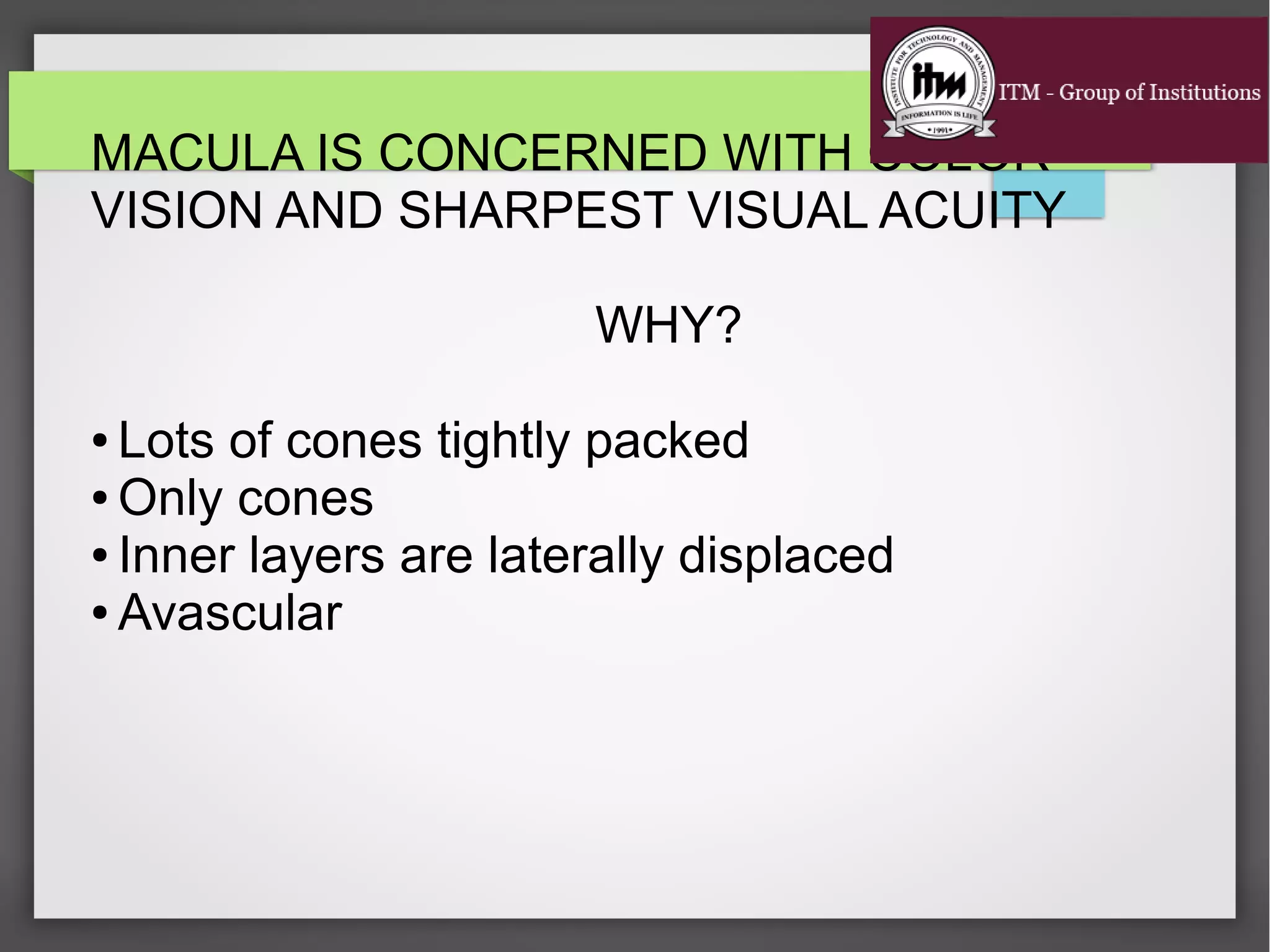 Macular function test | ODP