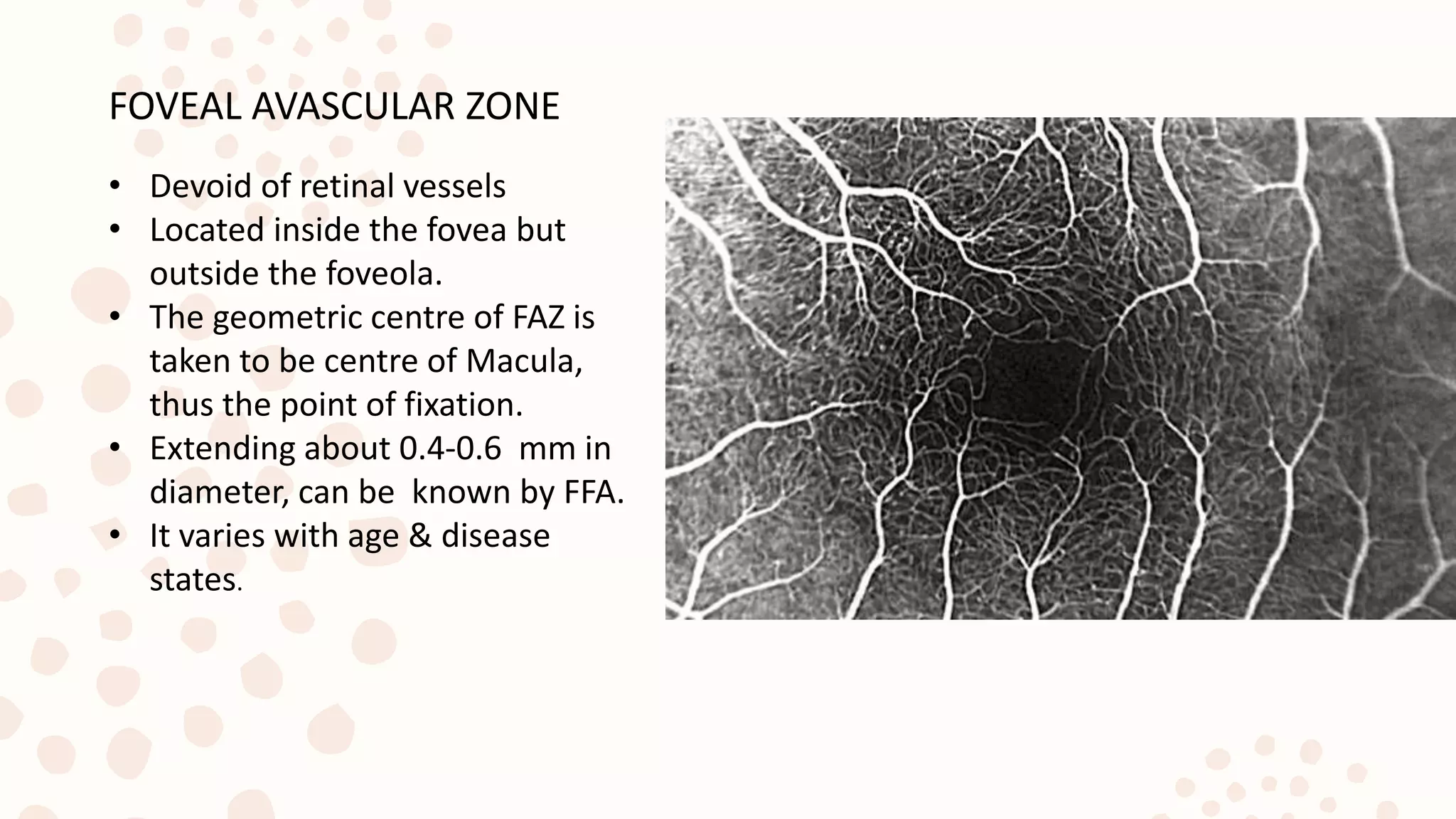 Macular function test | PPTX