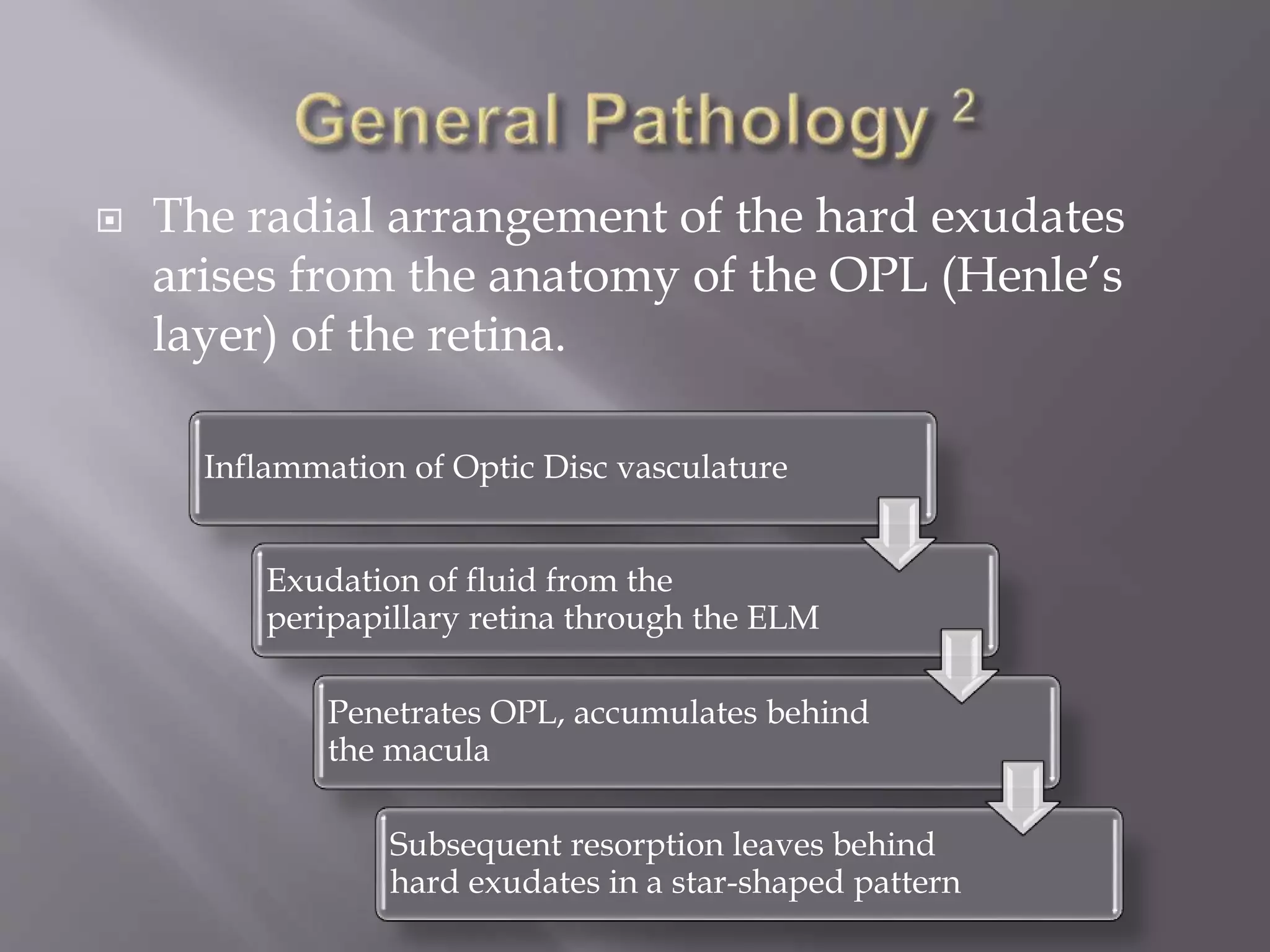 Macular Star.pptx