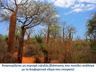 Madagascar | PPT