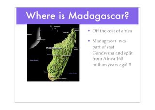 Madagascar | PPT