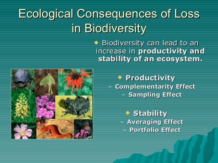 Madagascar biodiversity