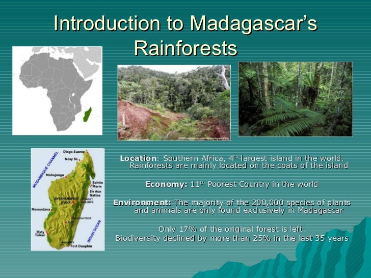 Madagascar biodiversity