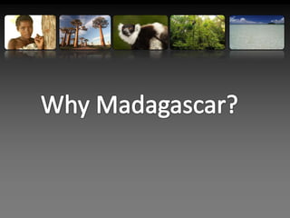 Assembly Madagascar PPT | PPT