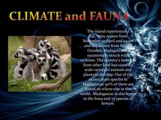 Madagascar French Project | PPTX