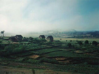 Madagascar intro karen freudenberger - slash and burn | PPTX