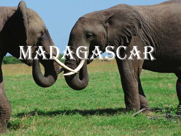 Madagascar powerpoint | PPTX | Africa Travel | Travel Locations