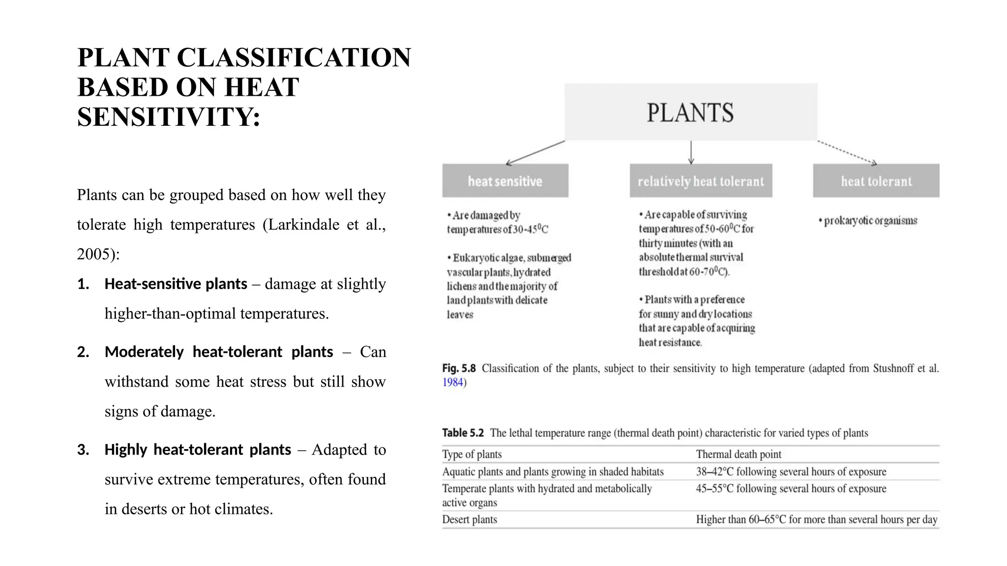 temperature stress in plants Abiotic stresses | PPTX