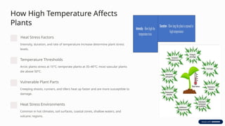 temperature stress in plants Abiotic stresses | PPTX