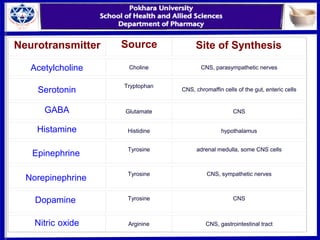 An Introduction to Neurotransmitter System | PPT
