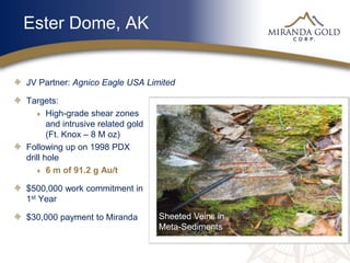 Miranda Gold Corporate Presentation - November 2010 | PPTX
