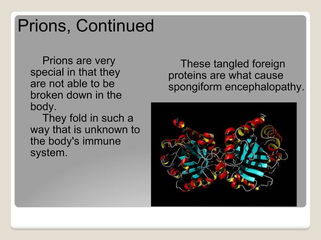 Creutzfeldt-Jacob Disease | PPT | Infectious Diseases | Diseases and ...