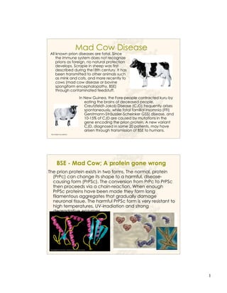 Mad Cow Disease and Variant Creutzfeldt-Jakob Disease | PDF