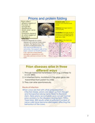 Mad Cow Disease and Variant Creutzfeldt-Jakob Disease | PDF