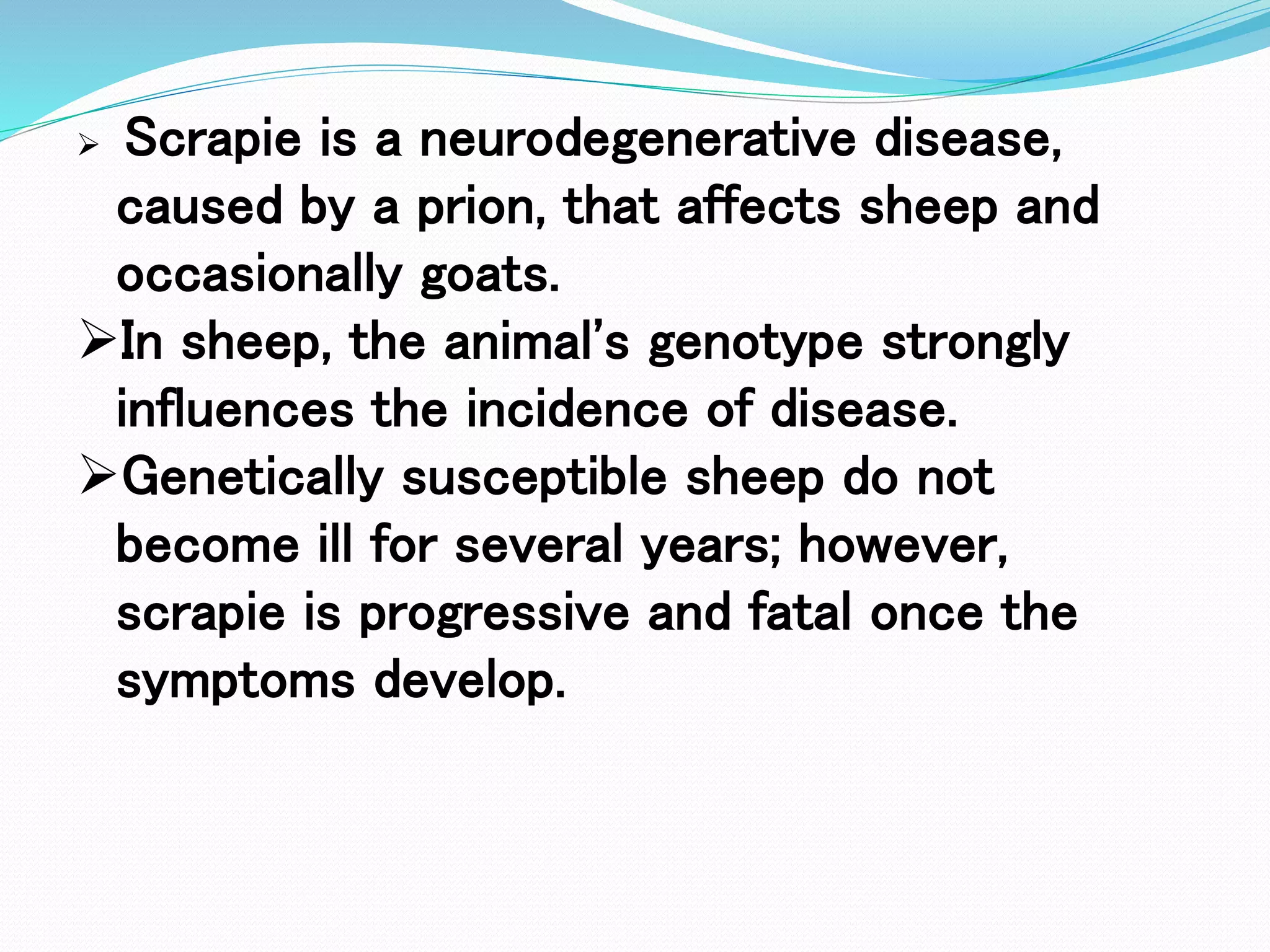 BOVINE SPONGIFORM ENCEPHALOPHATHY (BSE), MAD COW | PPTX