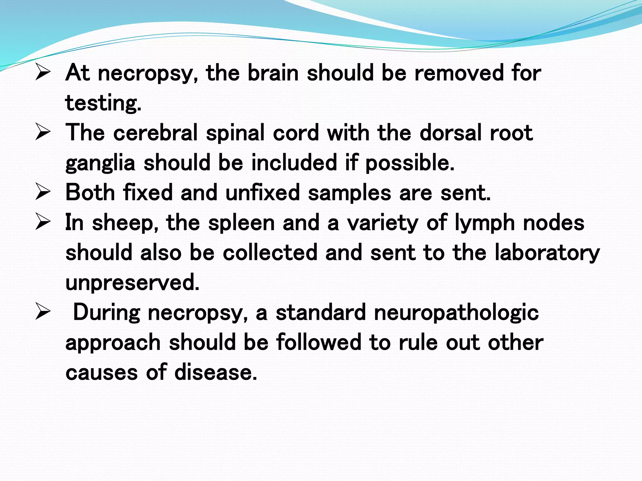 BOVINE SPONGIFORM ENCEPHALOPHATHY (BSE), MAD COW | PPTX