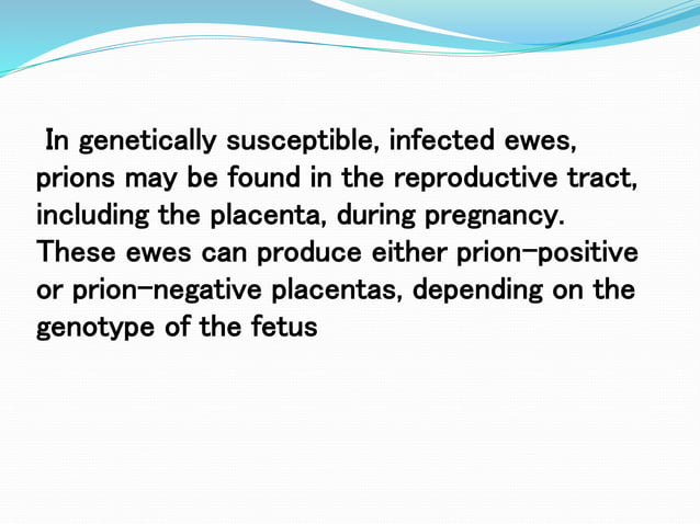 BOVINE SPONGIFORM ENCEPHALOPHATHY (BSE), MAD COW | PPTX | Brain and ...