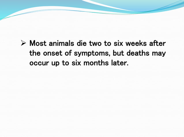 BOVINE SPONGIFORM ENCEPHALOPHATHY (BSE), MAD COW | PPTX | Brain and ...
