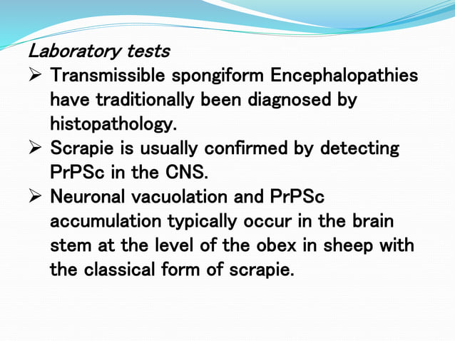BOVINE SPONGIFORM ENCEPHALOPHATHY (BSE), MAD COW | PPTX | Brain and ...