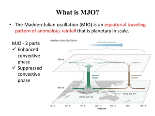 Impact of Madden Julian Oscillation (MJO) on Indian Rainfall | PPTX ...