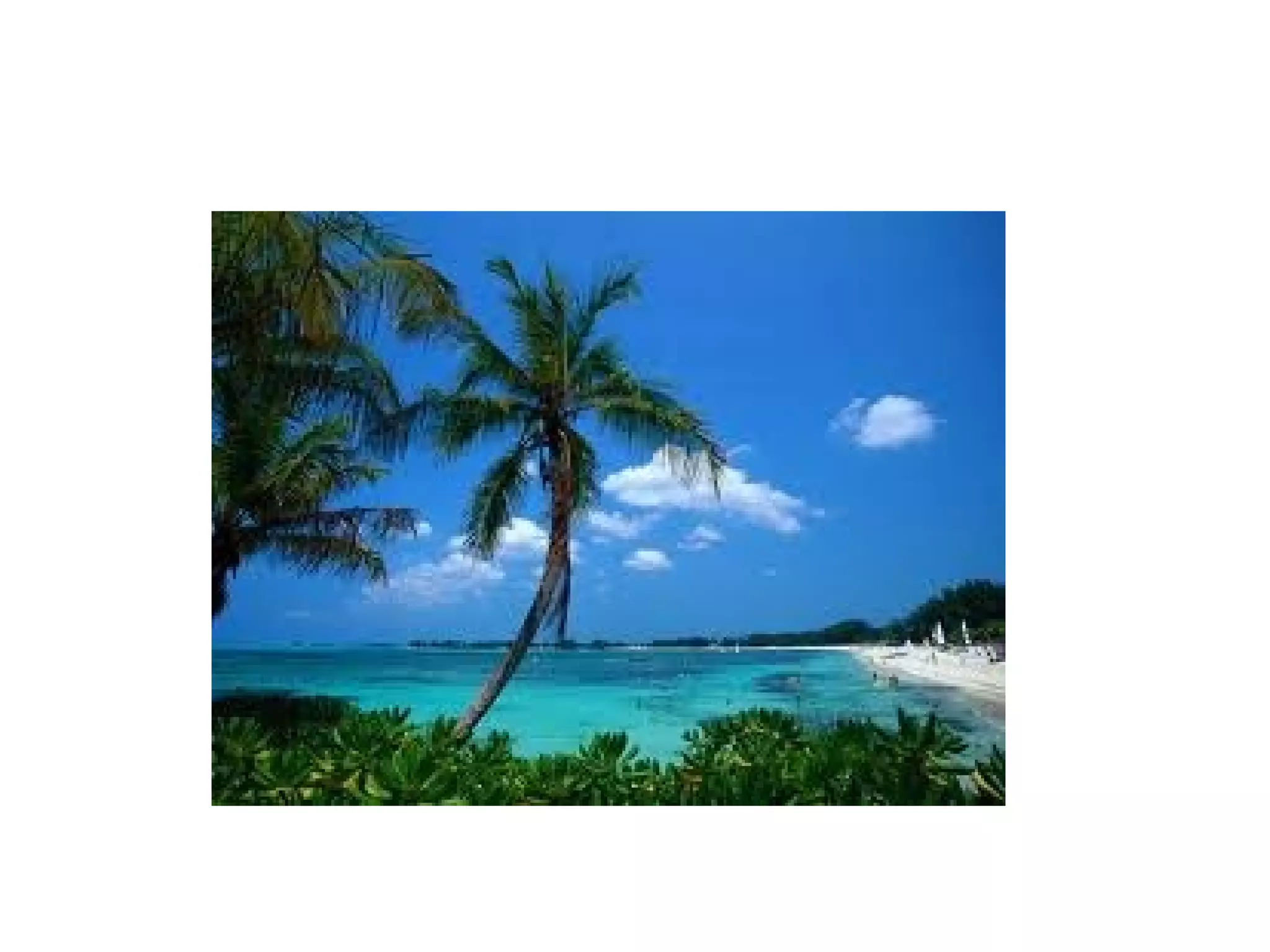 Maddy peikin, bahamas picture | PPT