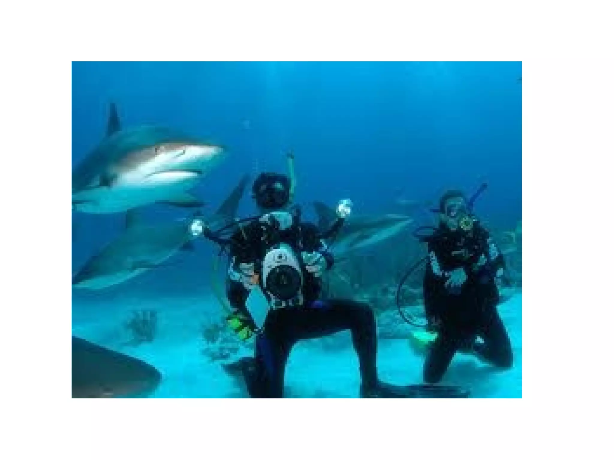 Maddy peikin, bahamas picture | PPT