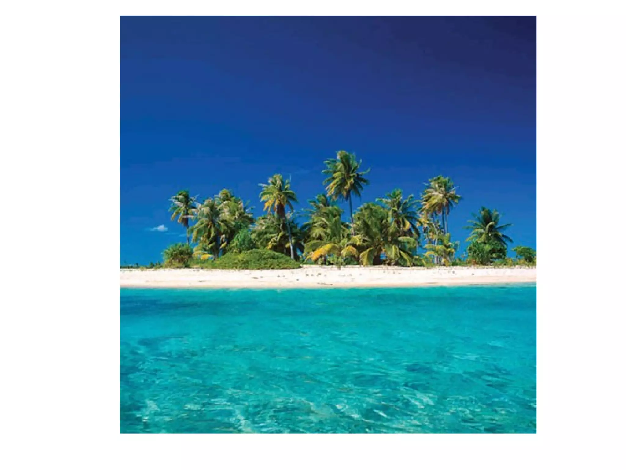 Maddy peikin, bahamas picture | PPT