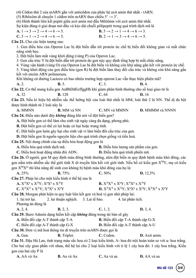 Kiểm tra cuối học kì 1 sinh học 12 đề tham khảo | PDF