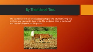 Agricultural Practices | PPTX