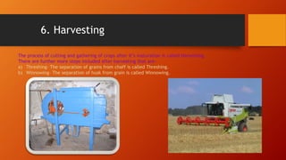 Agricultural Practices | PPTX