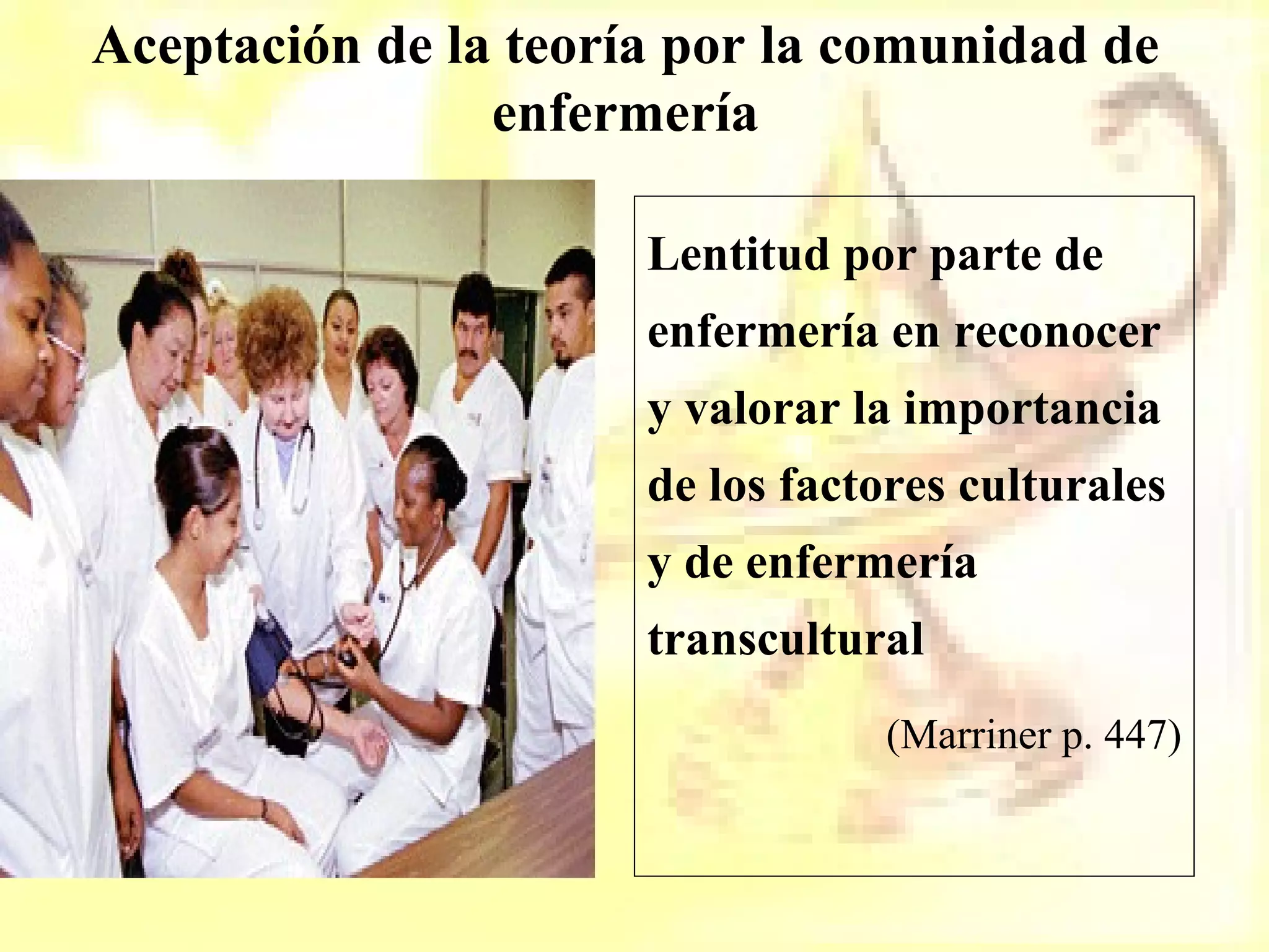 Madeleine Leininger | PPT