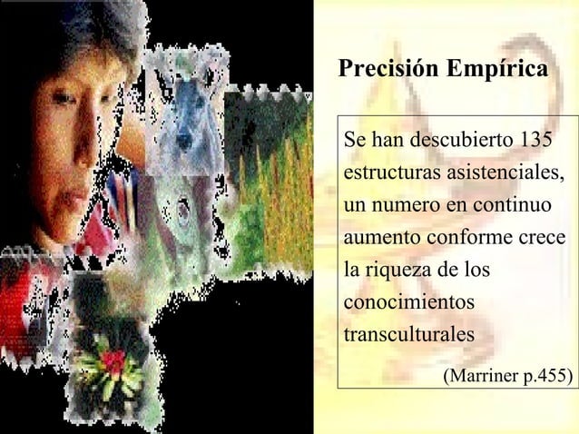 Madeleine Leininger | PPT