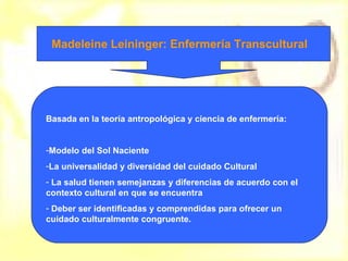 Madeleine Leininger | PPT