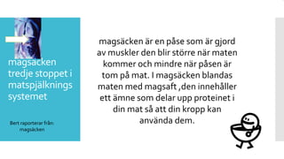 Madeleine berättar om matspjälkningssystemet | PPTX