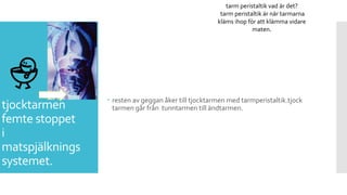 Madeleine berättar om matspjälkningssystemet | PPTX